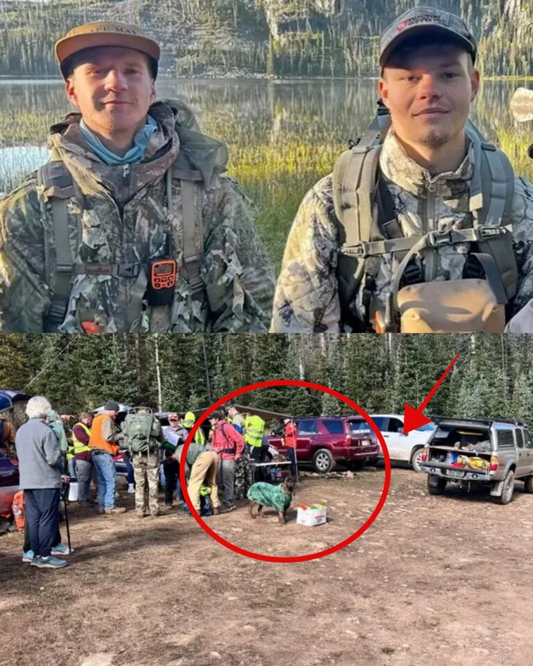 It was discovered that the forensic report of Andrew Porter and Ian ...