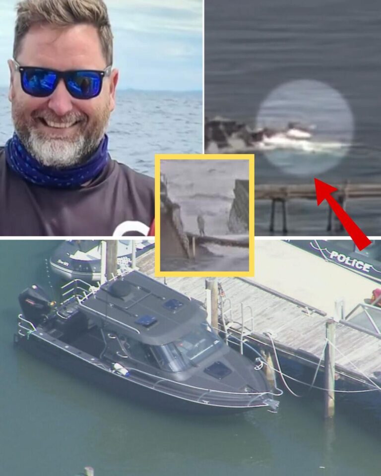 “He turned around twice… then disappeared into the darkness” — Police ...